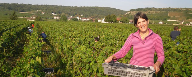 DOMAINE CECILE TREMBLAY à VOSNE ROMANEE membre Producteur Artisan de ...